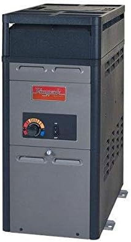 Raypak PR106AAPC 105000 BTU Propane Gas Pool Heater, 1 Pack, 84 lb ...