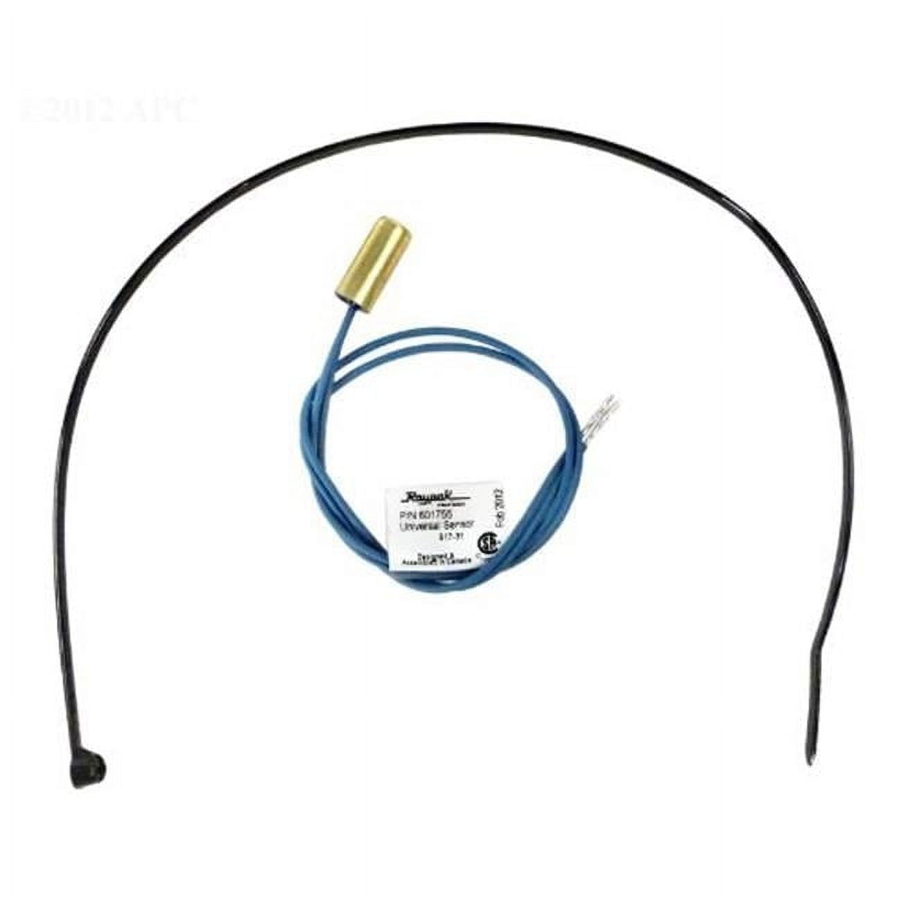 Raypak Sensor Water Raypak 010787F - Walmart.com