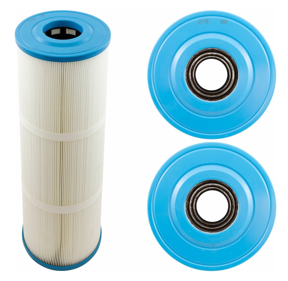Raypak Protege RPCFP75 Replacement Filter Cartridge 75 sq. ft. 018241F ...