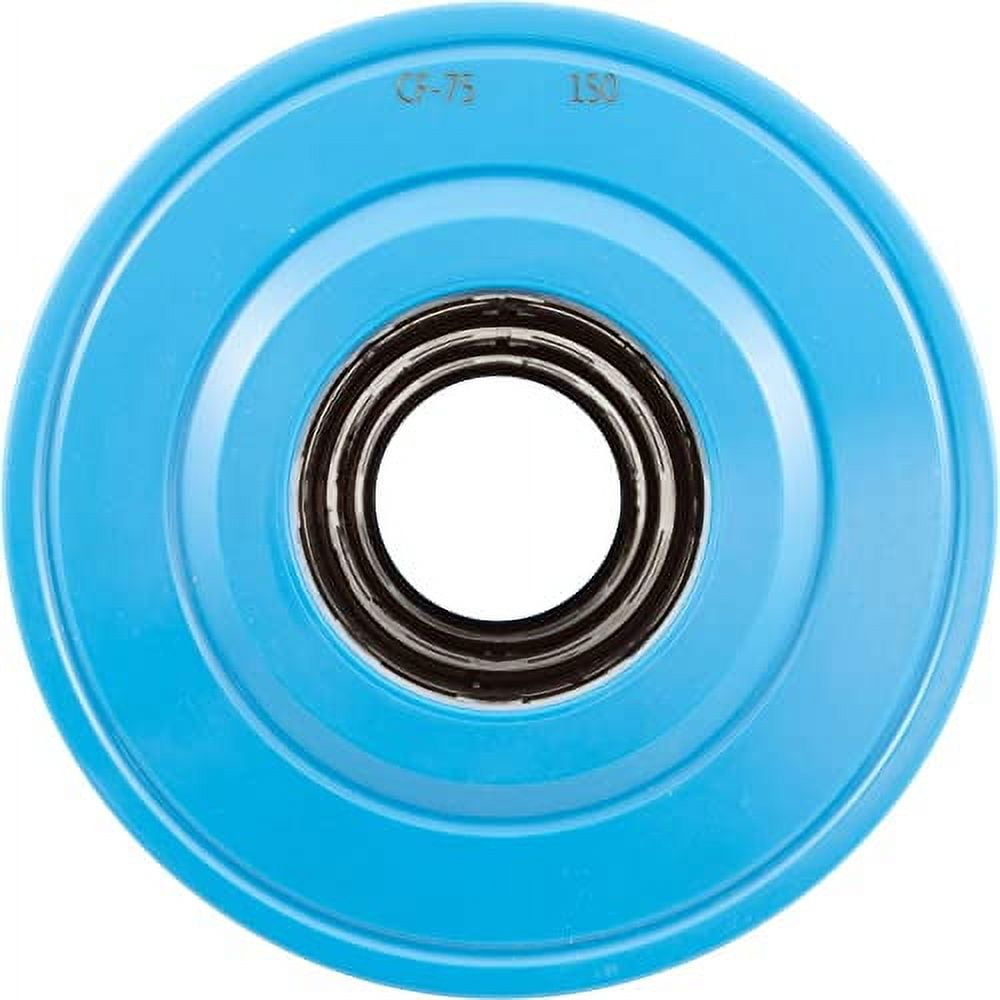 Raypak Protege RPCFP75 Replacement Filter Cartridge 75 sq. ft. 018241F ...