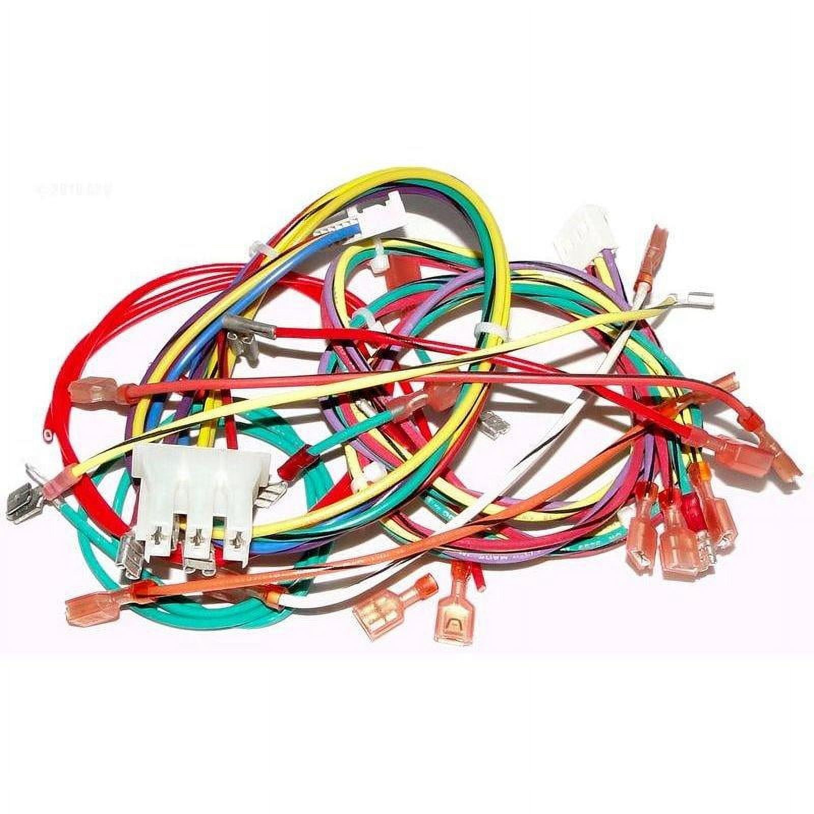 Raypak Wire-Harness Iid 005270F - Walmart Business Supplies