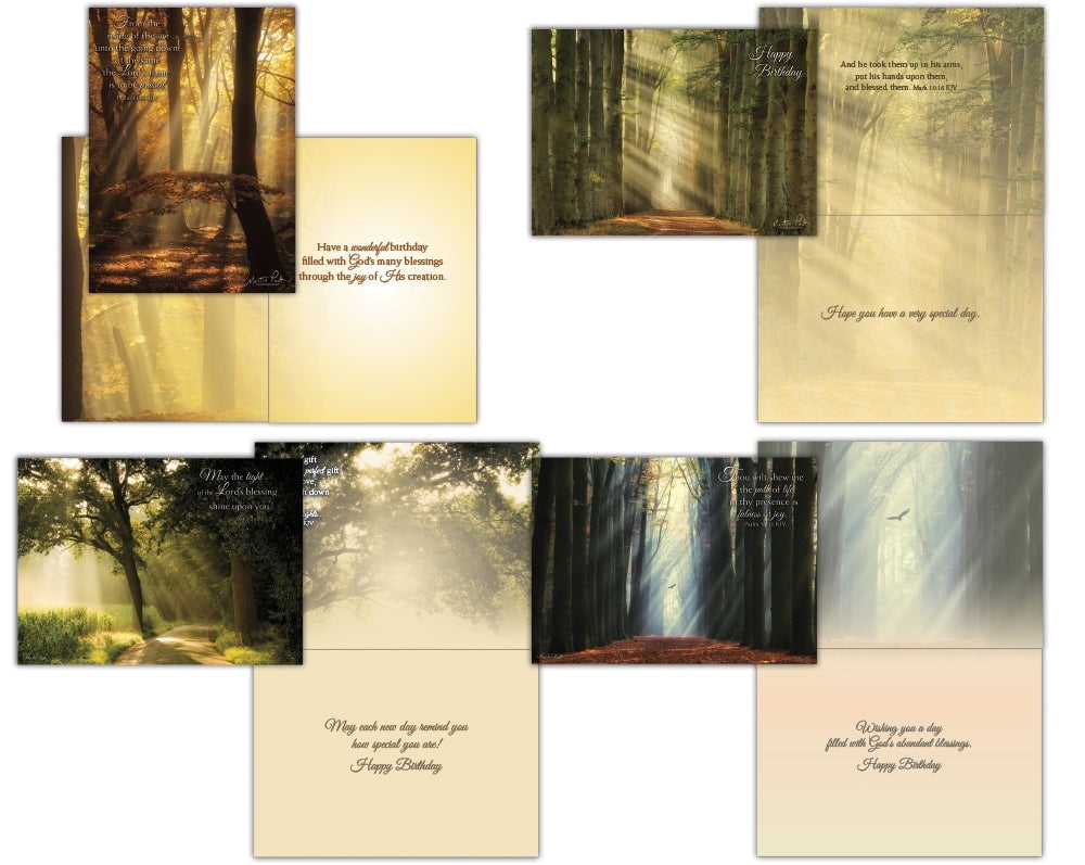Rays of Light - boxed assortment of birthday cards by Shared Blessings ...