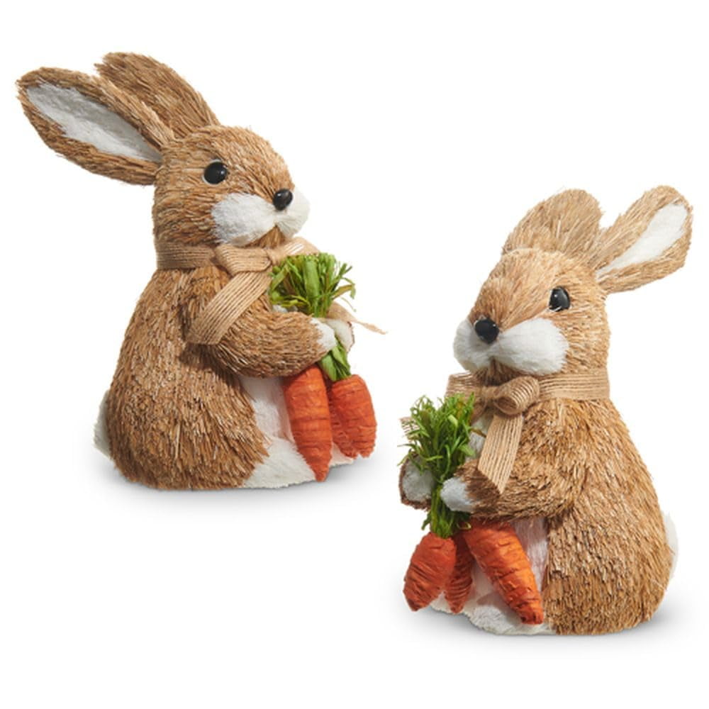 Raz Imports 2024 The Carrot Patch 8" Bunny with Carrots, Assorted of 2 ...