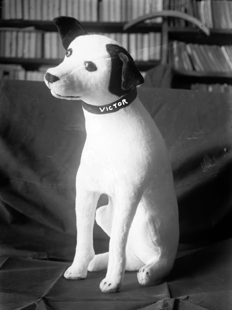 Rca Victor Toy C1900. Na Stuffed Toy Of Nipper The Rca Victor Mascot ...