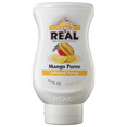Reàl Infused Exotics Simply Squeeze Mango Infused Syrup 16.9oz Bottle ...