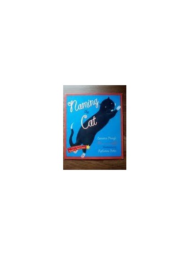 Pre-Owned Reading Intervention: Soar to Success Student Book Level 4 Wk ...