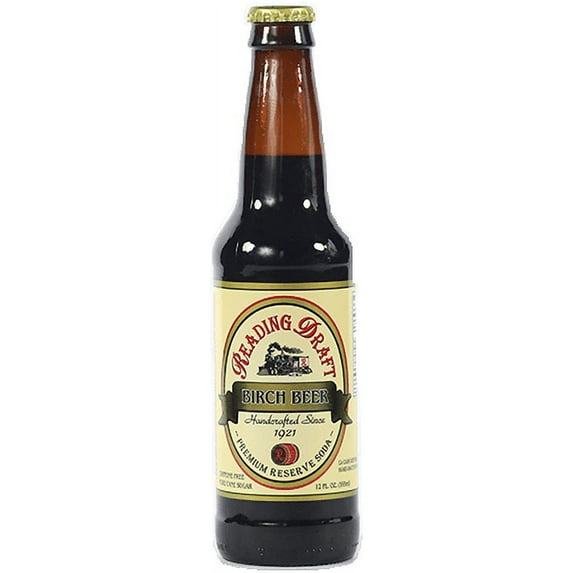 Reading Soda Works Handcrafted Birch Beer, 12-Pack, 12 fl. oz. Bottles ...