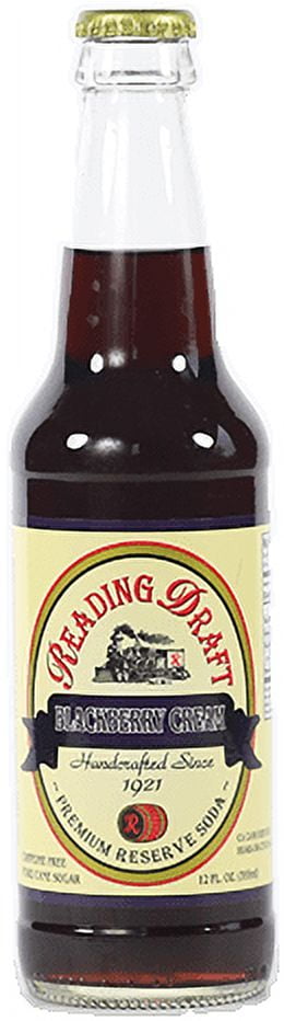 Reading Soda Works Handcrafted Blackberry Cream Soda, 12-Pack Case, 12 ...