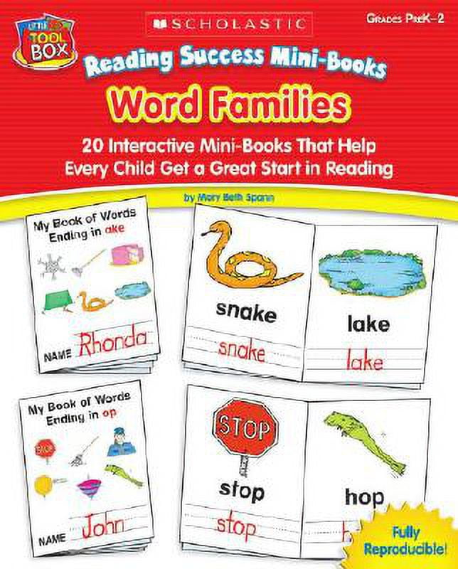 Pre-Owned - Reading Success Mini-Books: Word Families : 20 Interactive ...
