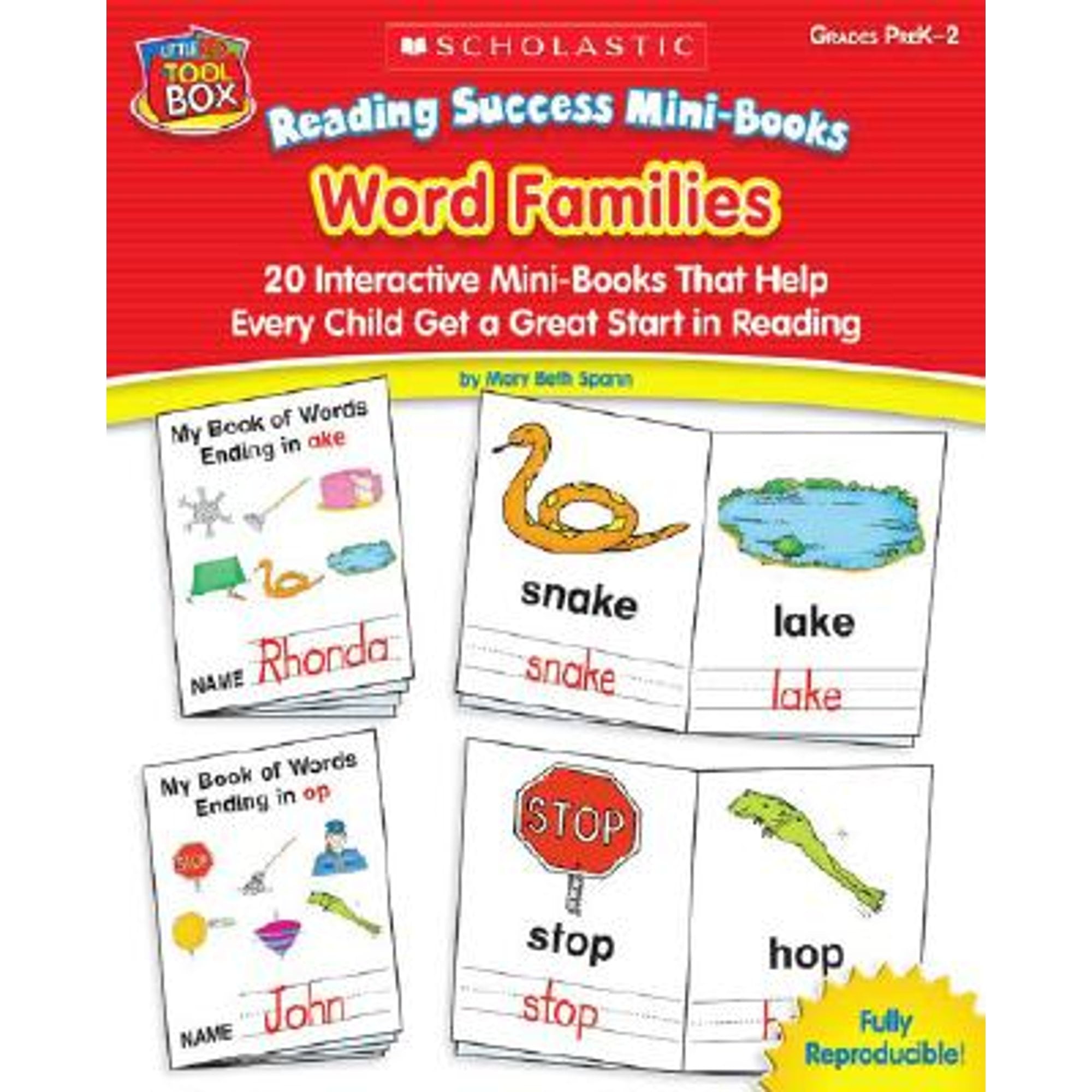 Pre-Owned Reading Success Mini-Books: Word Families: 20 Interactive ...