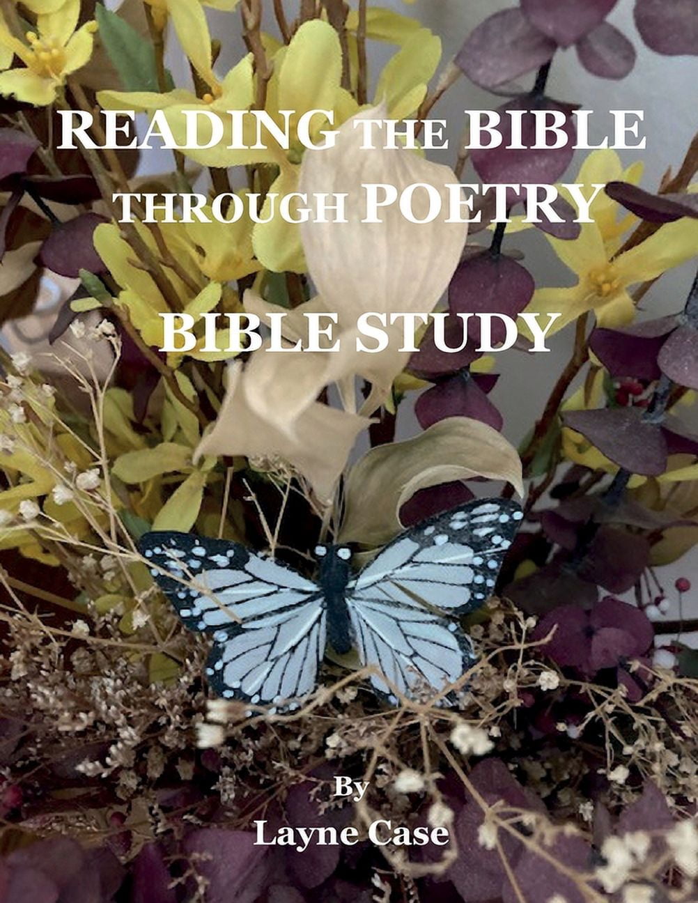 Reading the Bible Through Poetry Bible Study - Walmart.com