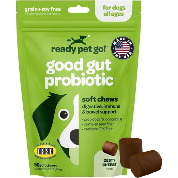 Upset Stomach Relief Dogs