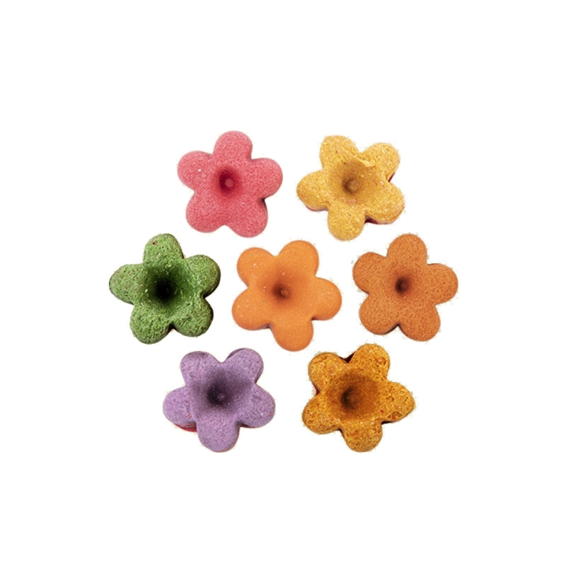 【Ready Stock】 Dried Fruits Vegetables for Pet Hamsters Guinea Pigs ...