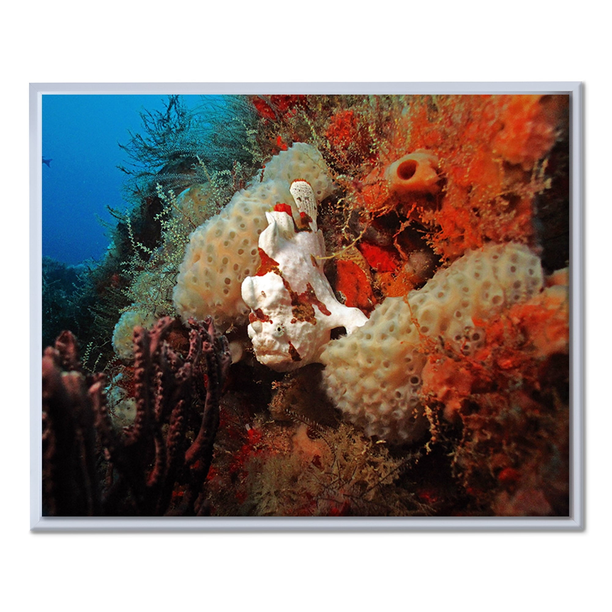 Ready2hangart Underwater by Christopher Doherty Framed Photographic ...
