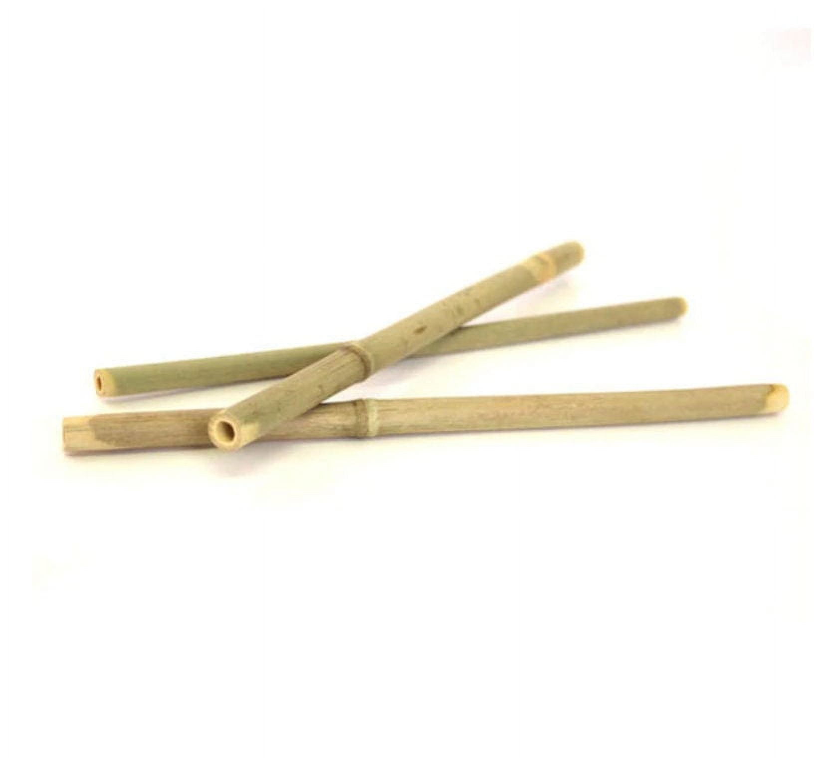 Real Bamboo Straws (10 Pack) - Walmart.com