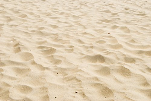 Real Beach Sand Edible Icing Image for Cake or Cupcake Cookie Topper ...