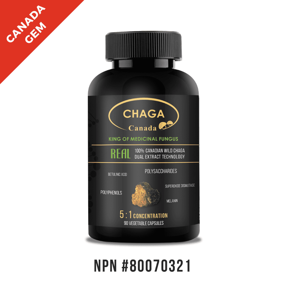 Real • Canada Gem • Dual-Extracted Wild Chaga Capsules - Walmart.com