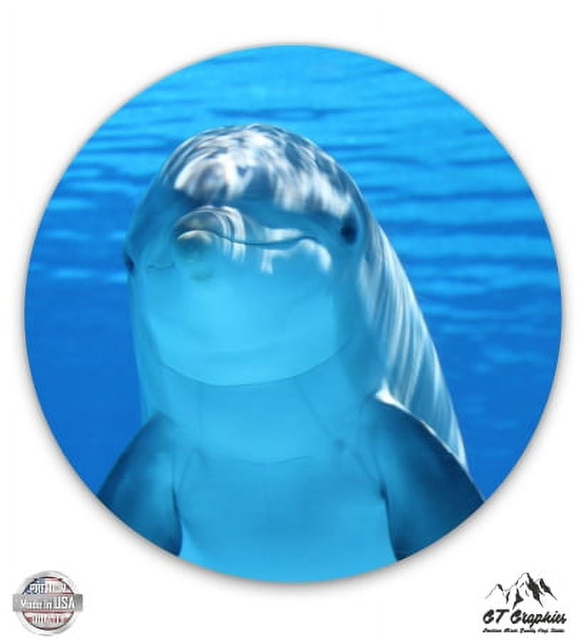 Real Dolphin Image - 12" Vinyl Sticker Waterproof Decal - Walmart.com