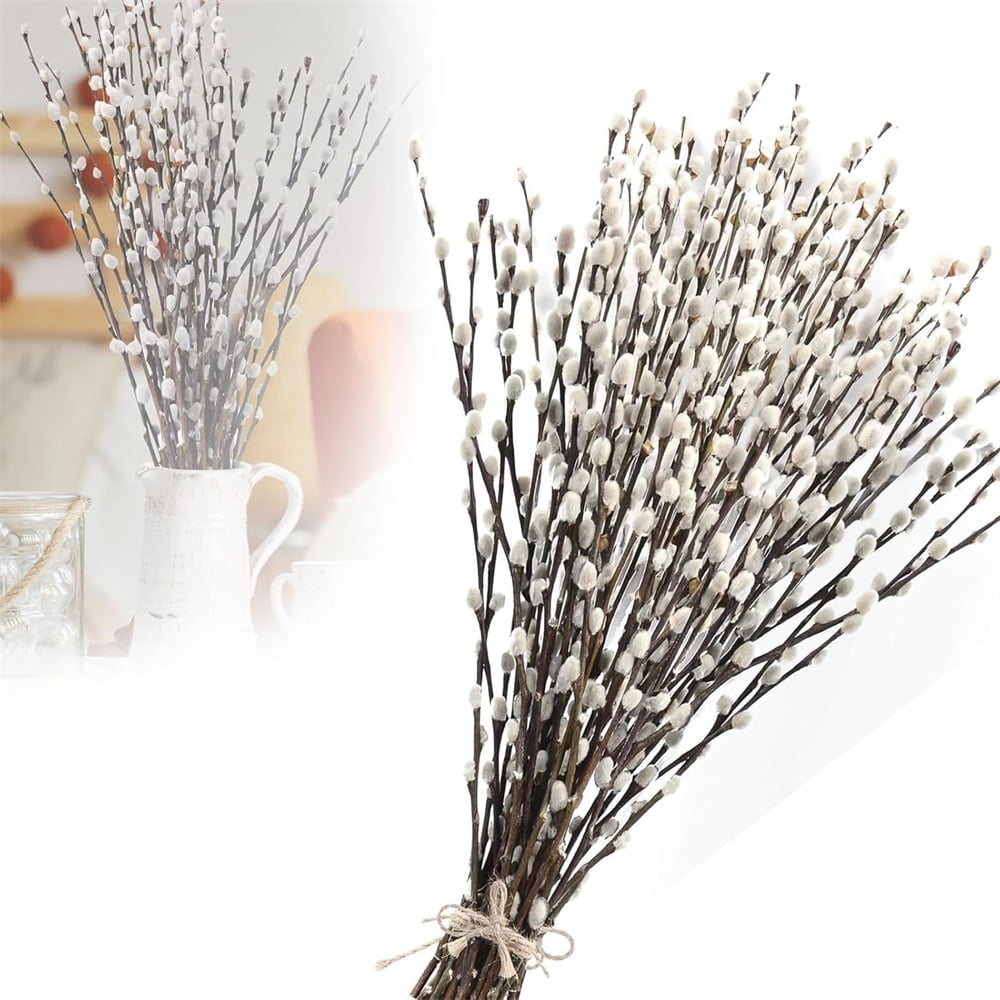 Real Dried Pussy Willow Branches,16 Inch Long Dried Flower Twigs with ...