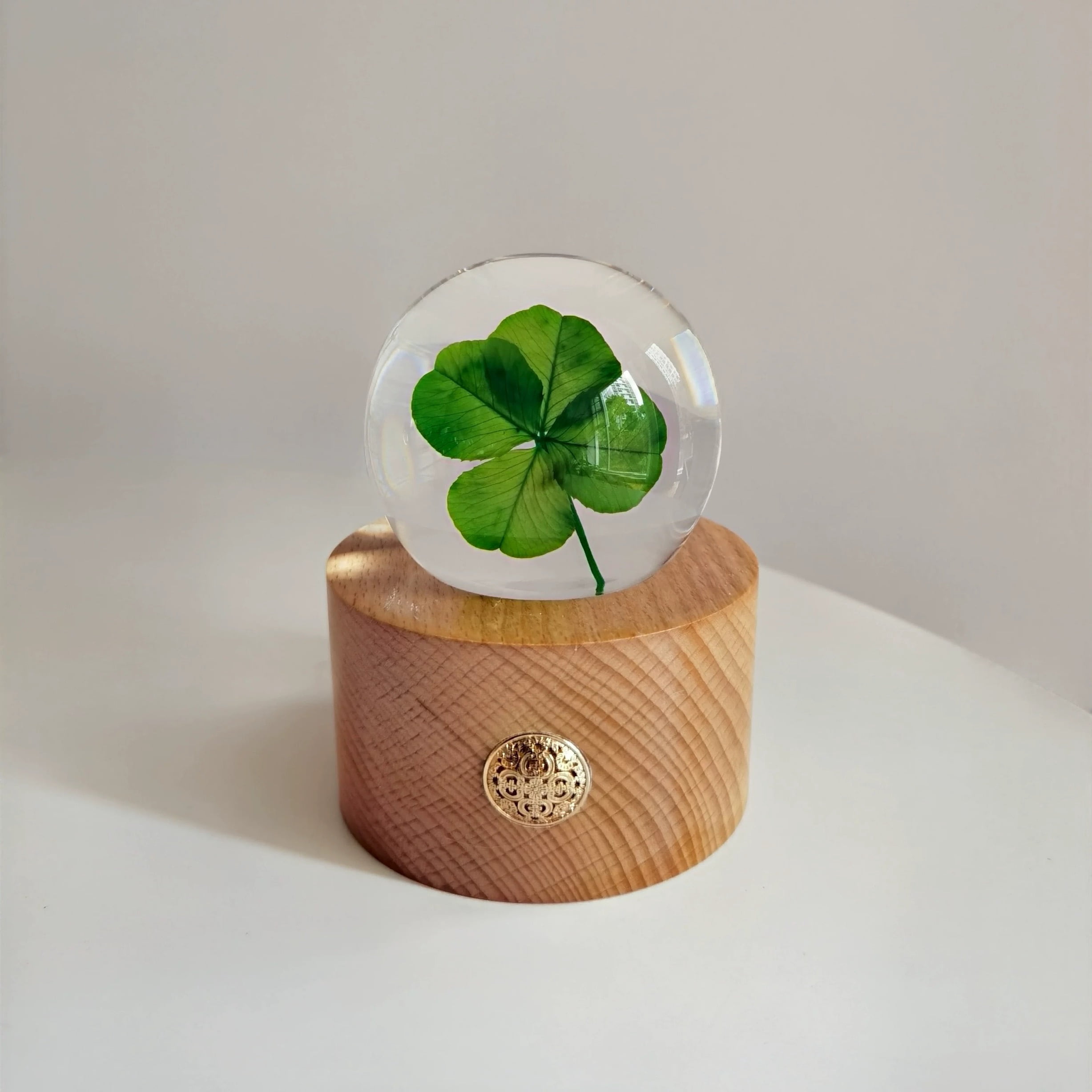 Real Four-Leaf Clover Resin Night Light, Rechargeable Touch Control ...