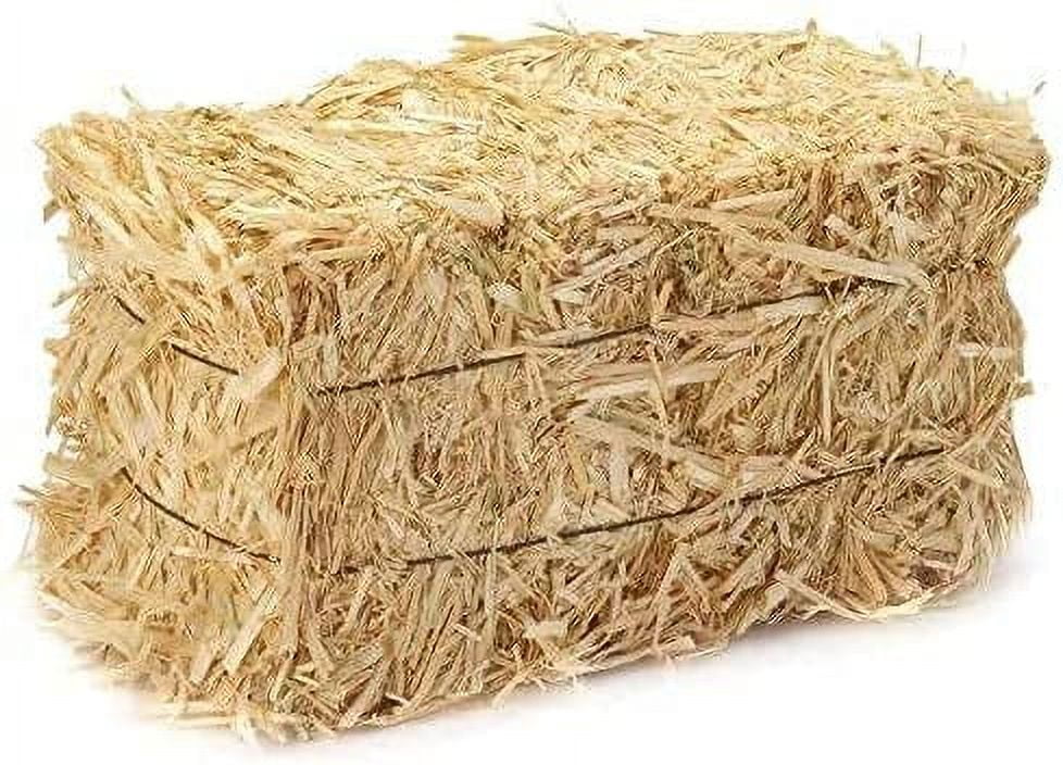 Real Full Size Straw Bale, 35" x 19" 12", for: Autumn Fall Decorations ...