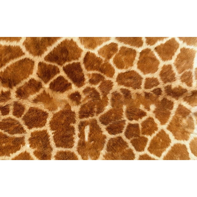 Real Giraffe Print Edible Icing image Cake Toppers - Walmart.com