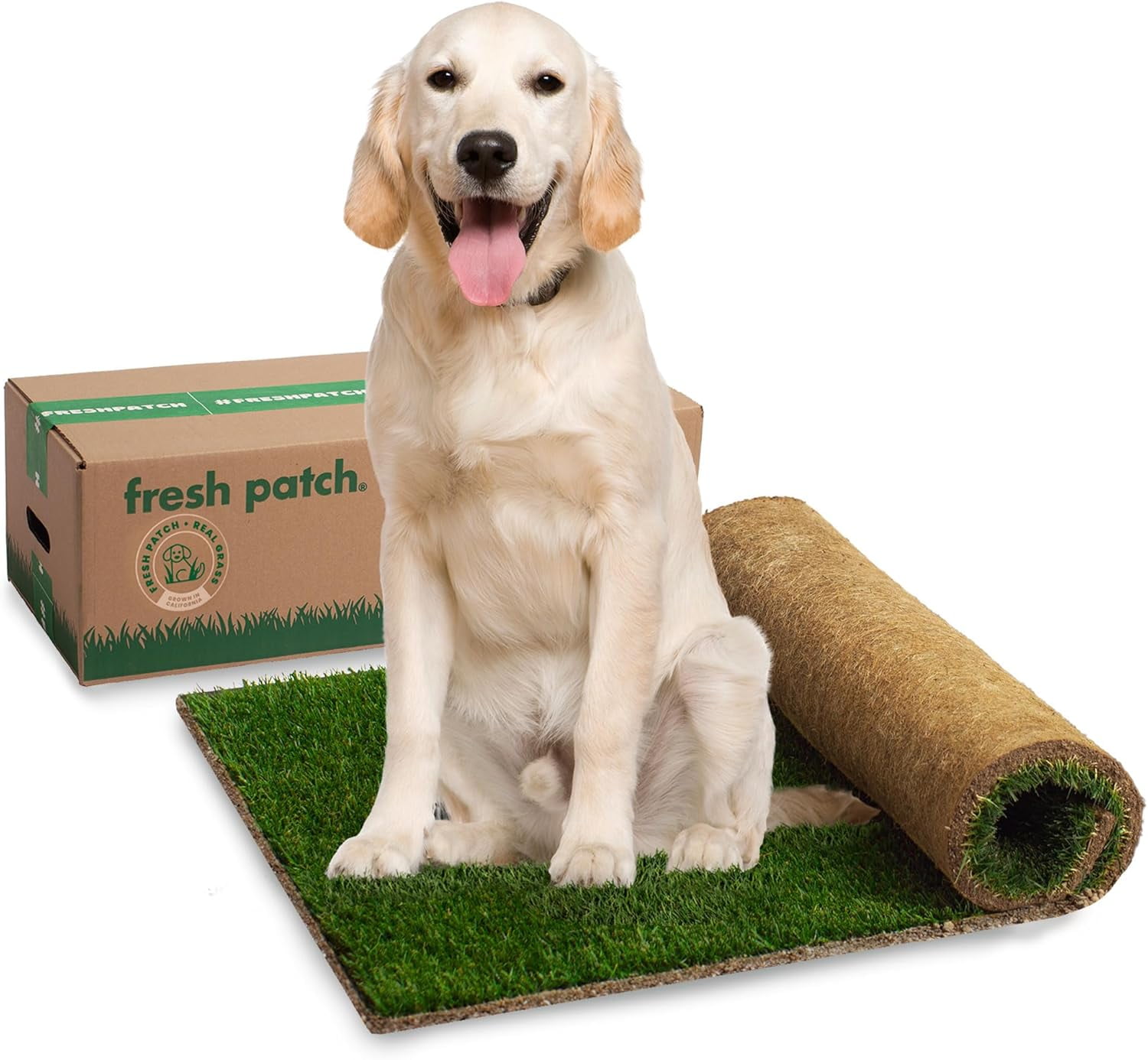 Real Grass Patch for Dogs, Cats, and Extra Large Pets 30 Pounds and ...