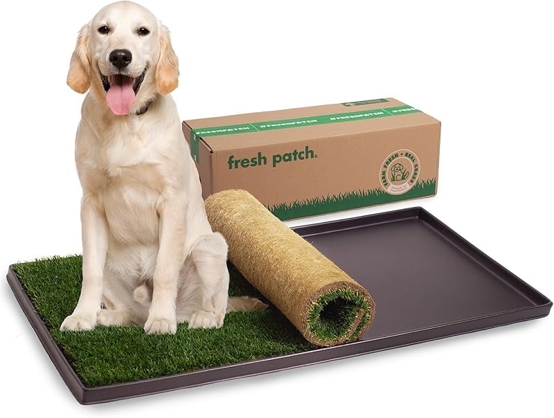 Real Grass Patch for Dogs, Cats, and Extra Large Pets 30 Pounds and ...