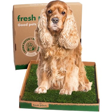 Costway Artificial Turf Pet Potty Training Grass Pad 30''x20'', Indoor ...
