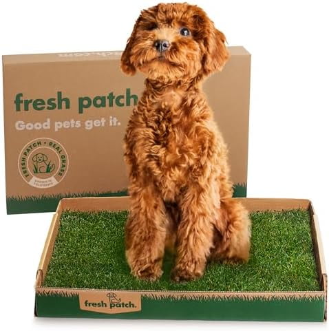 Real Grass Patch for Dogs, Cats, and Small-Medium Pets Under 15 Pounds ...