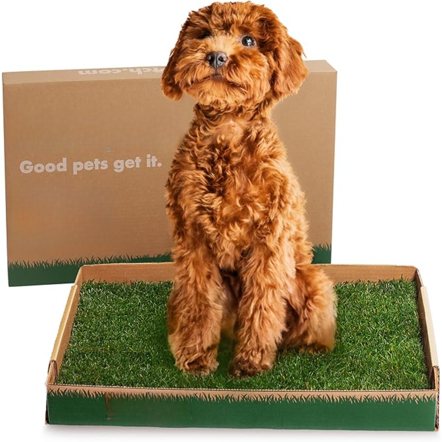 Real Grass Patch for Dogs, Cats, and Small-Medium Pets Under 15 Pounds ...