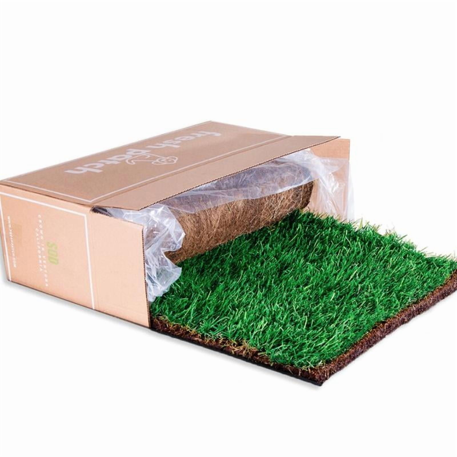 "Real Grass Potty Patch for Dogs, Cats, and Rabbits | Natural Green ...