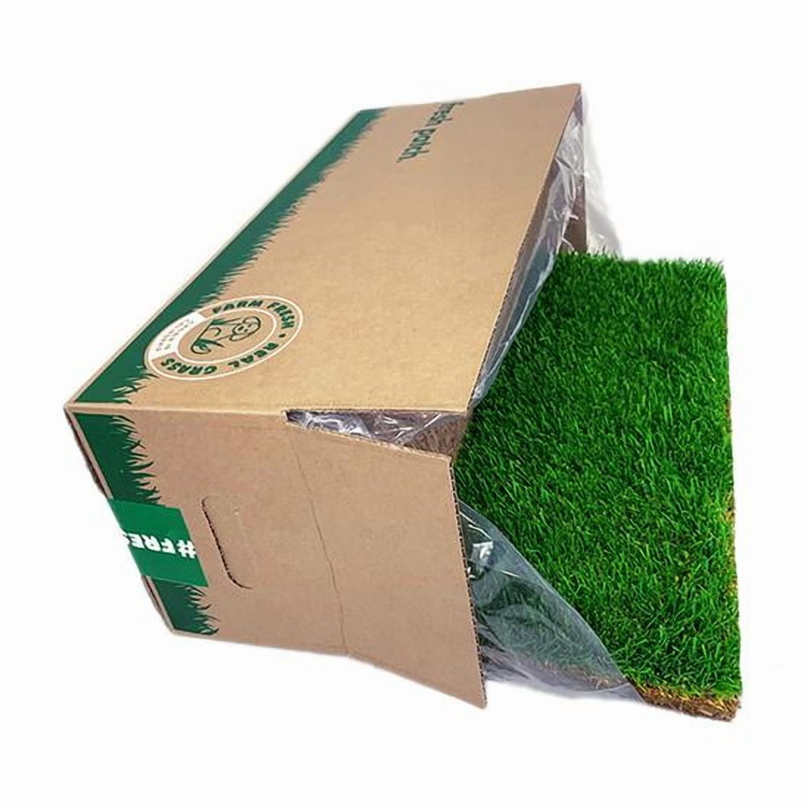 "Real Grass Potty Patch for Dogs, Cats, and Rabbits | Natural Green ...
