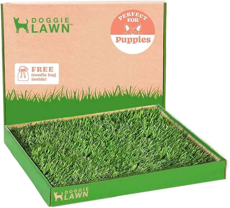 Real Grass Puppy Pee Pads - Potty Training Pads for Dogs & Puppies ...
