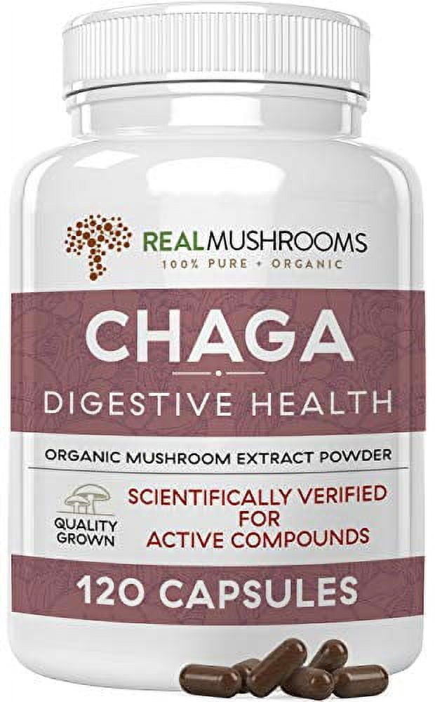 Real Mushrooms Chaga, Mushroom Extract Powder, 120 Capsule - Walmart.com