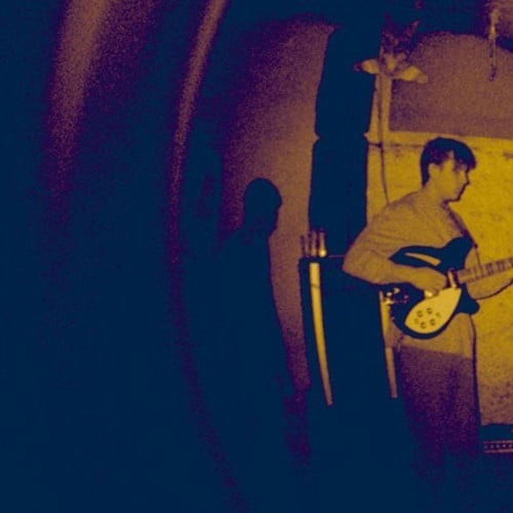 Real Numbers - Wordless Wonder - Rock - Vinyl - Walmart.com
