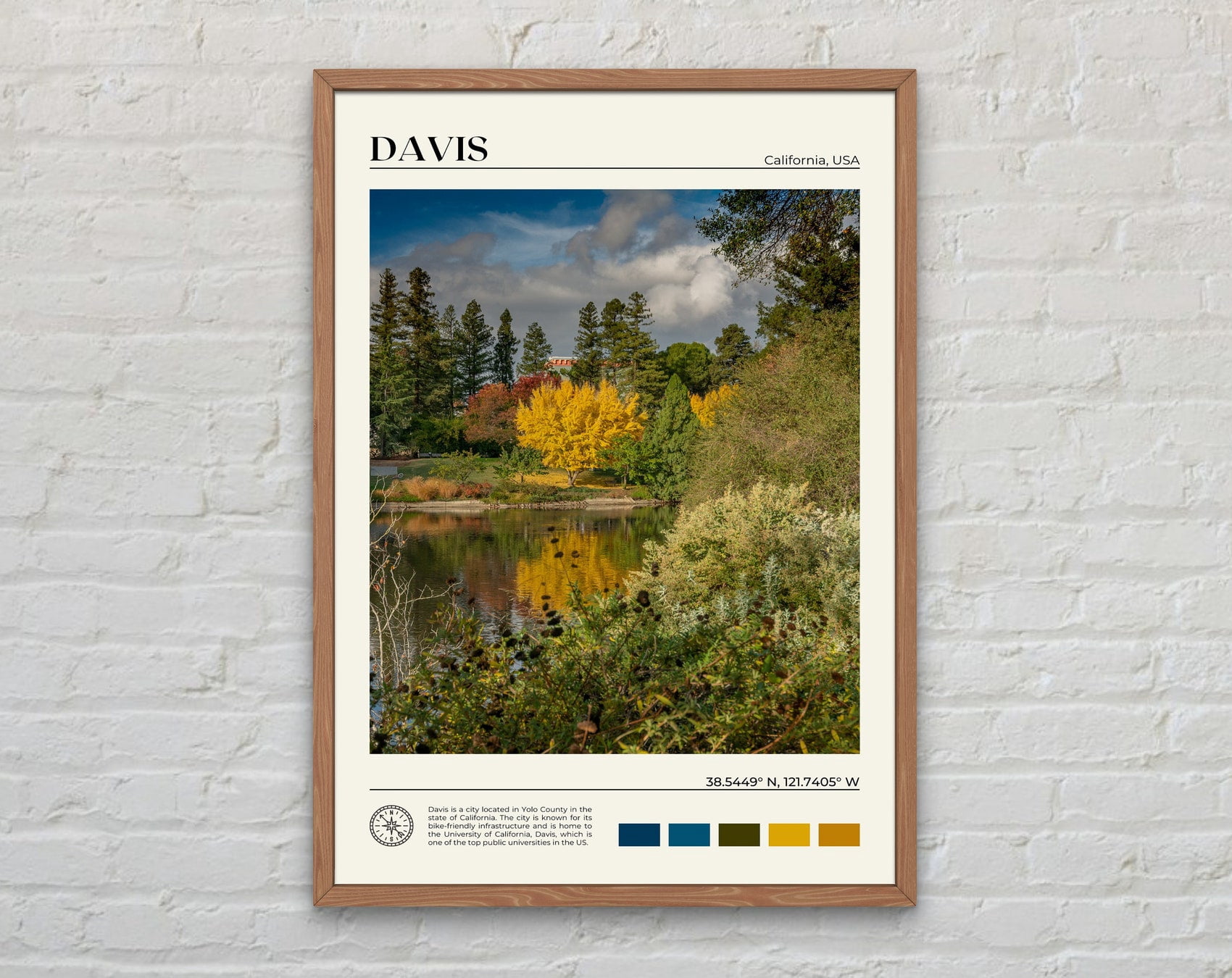 Real Photo, Davis Print, Davis Wall Art, Davis Poster, Davis Photo ...