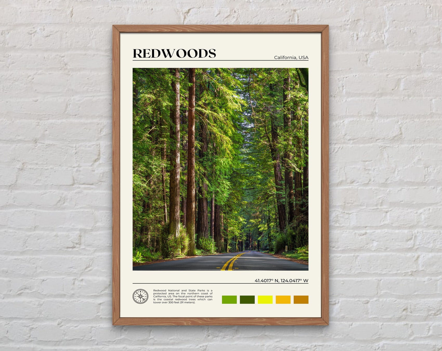 Real Photo, Redwoods Print, Redwoods Wall Art, Redwoods Poster ...
