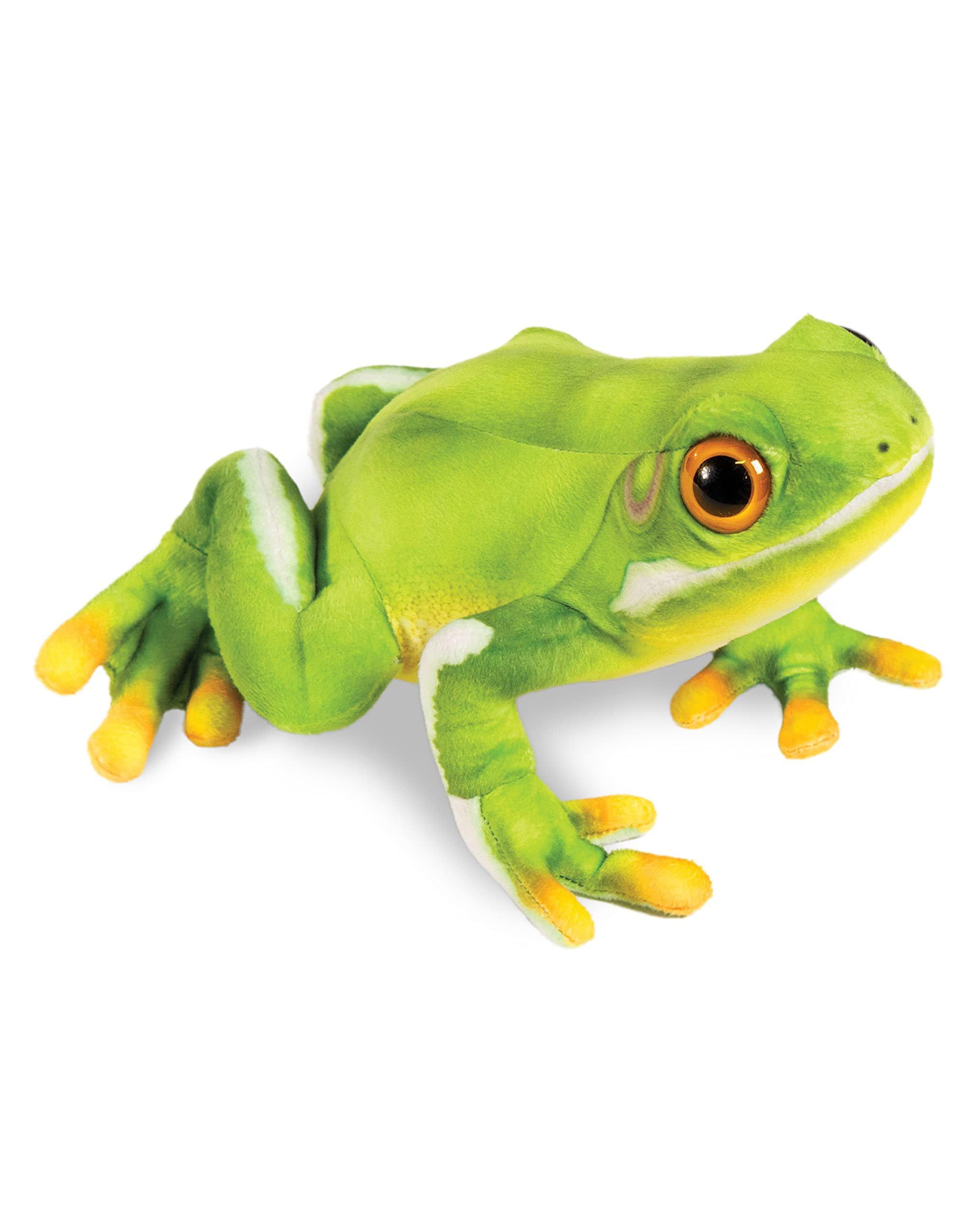Real Planet 11.5" Hyla Frog Realistic Stuffed Animal, Tropical Jungle ...