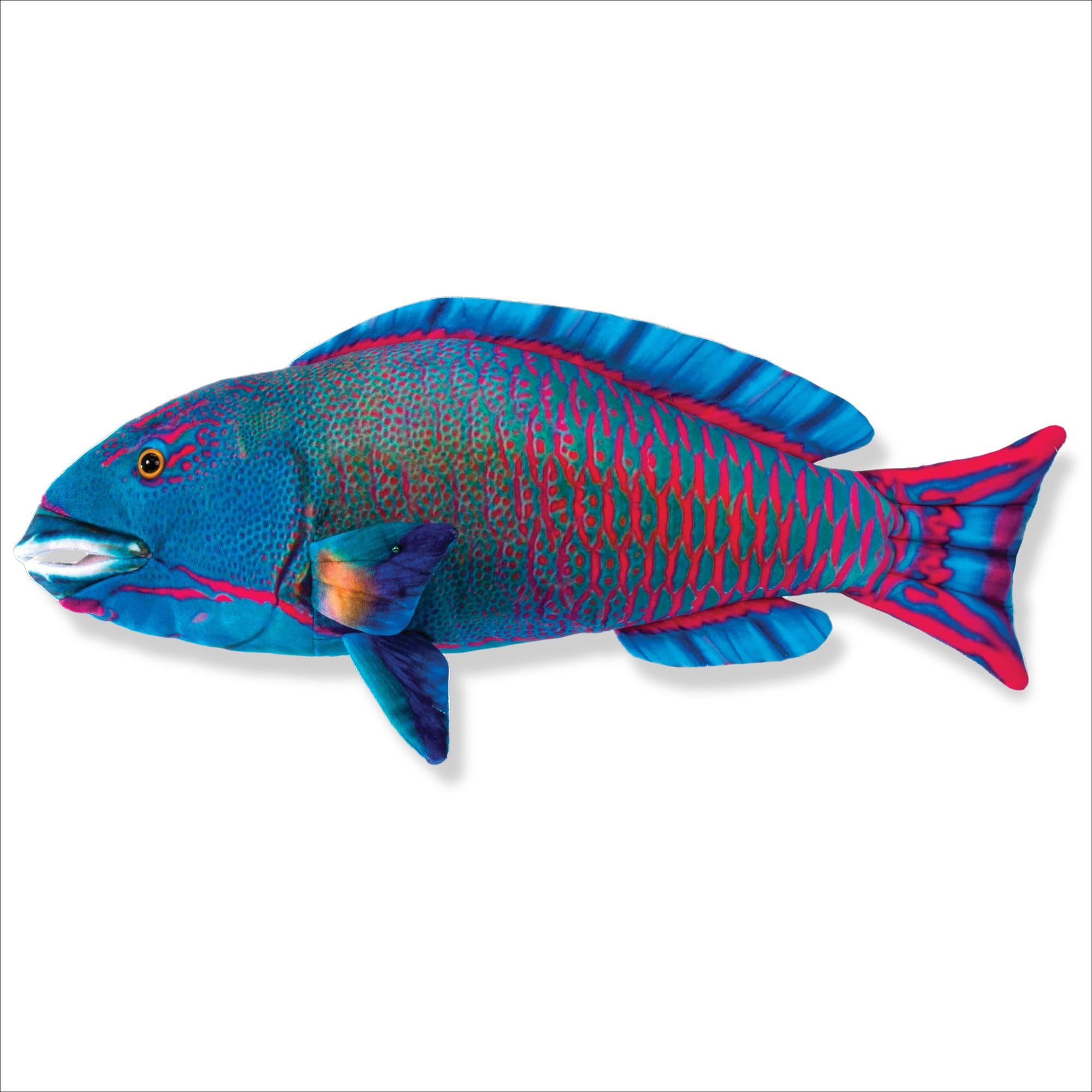 Real Planet 11" Blue Parrot Fish Realistic Stuffed Animal, Marine Sea ...