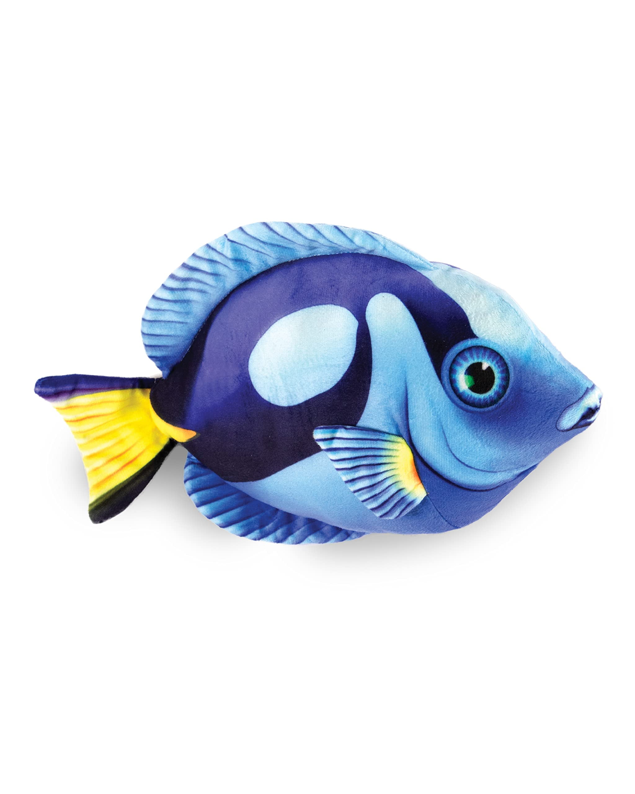 Real Planet 11" Blue Tang Fish Realistic Stuffed Animal, Marine Sea Life Plush Toy & STEM ...