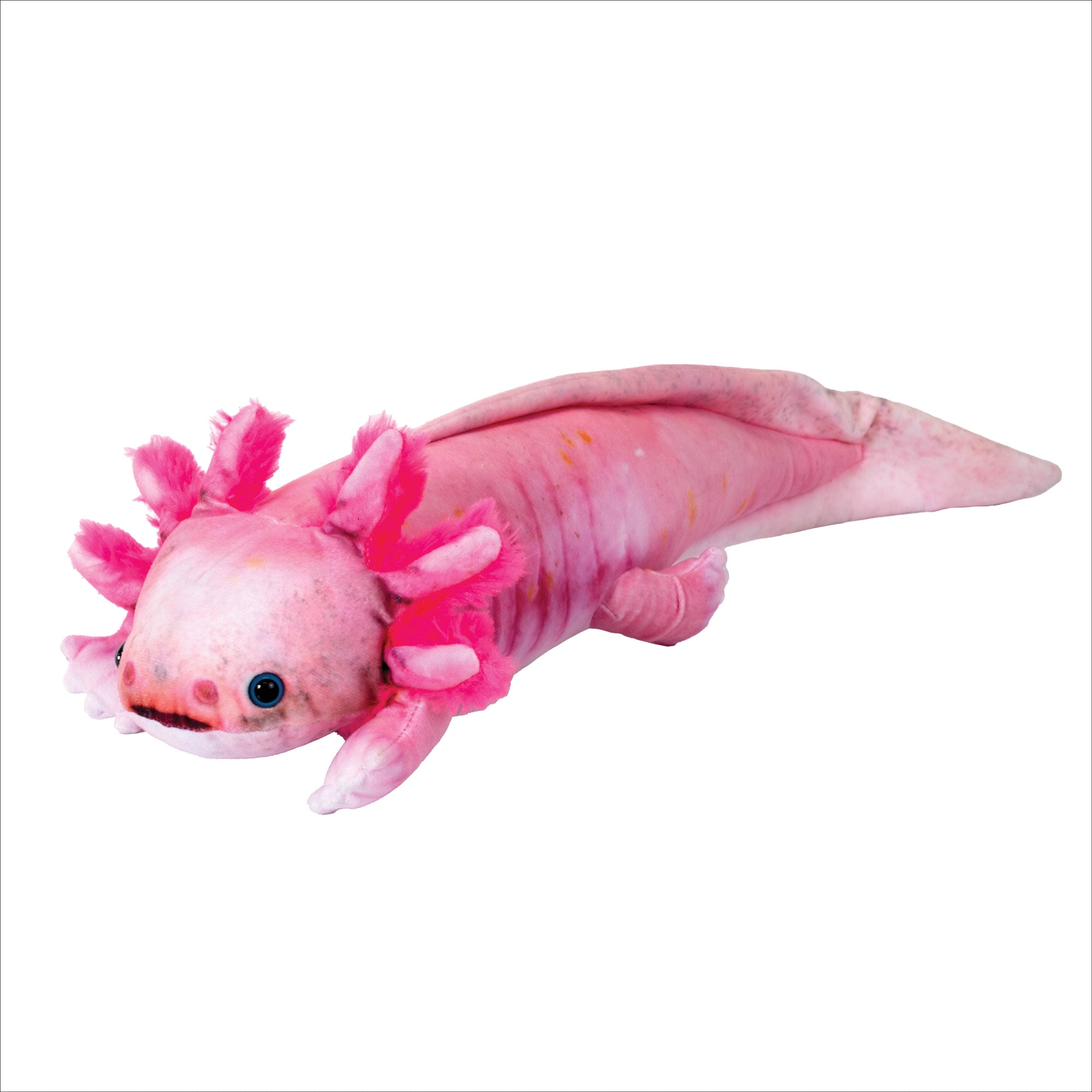 Real Planet 15" Long Axolotl Stuffed Animal, Realistic Kids STEM ...