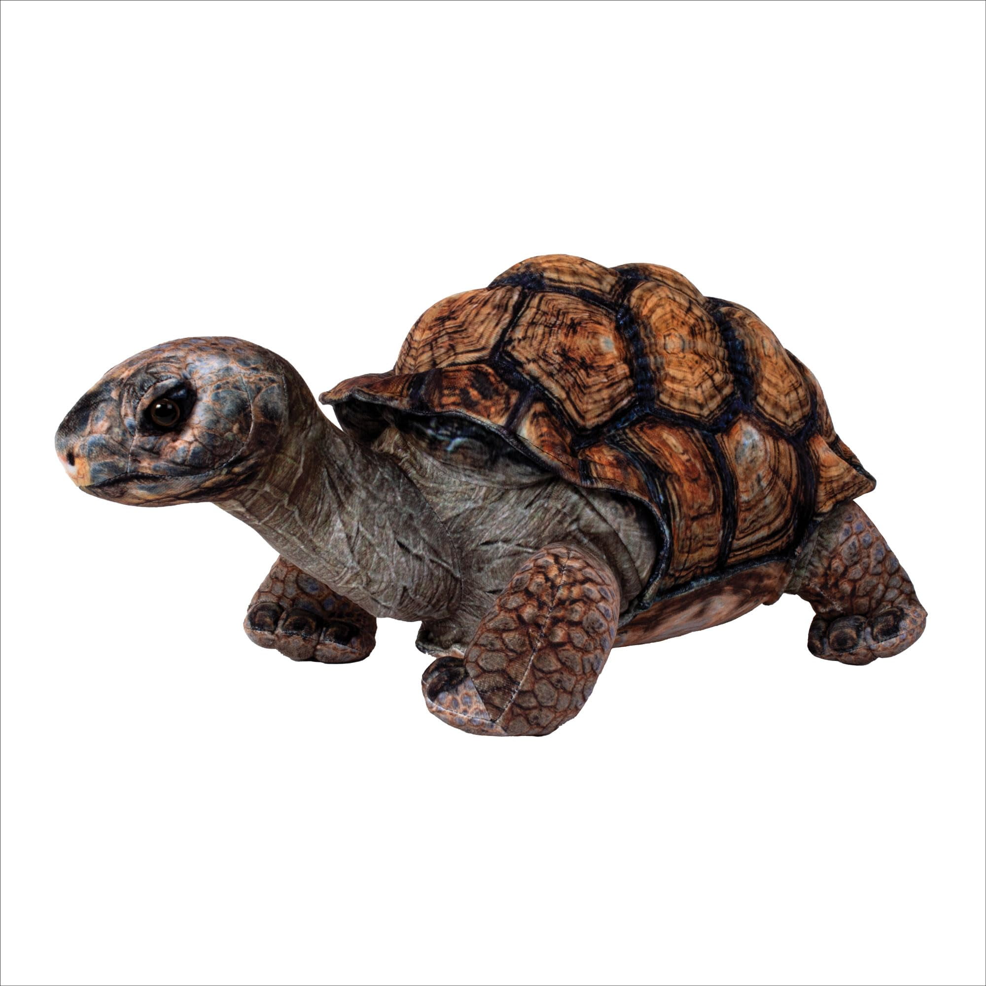 Real Planet 18" Brown Desert Tortoise Turtle Realistic Stuffed Animal ...