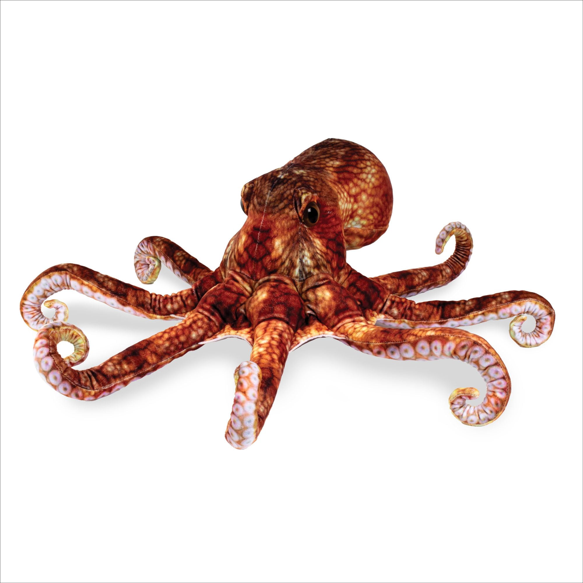 Real Planet 22" Brown Pacific Octopus Realistic Stuffed Animal, Marine ...
