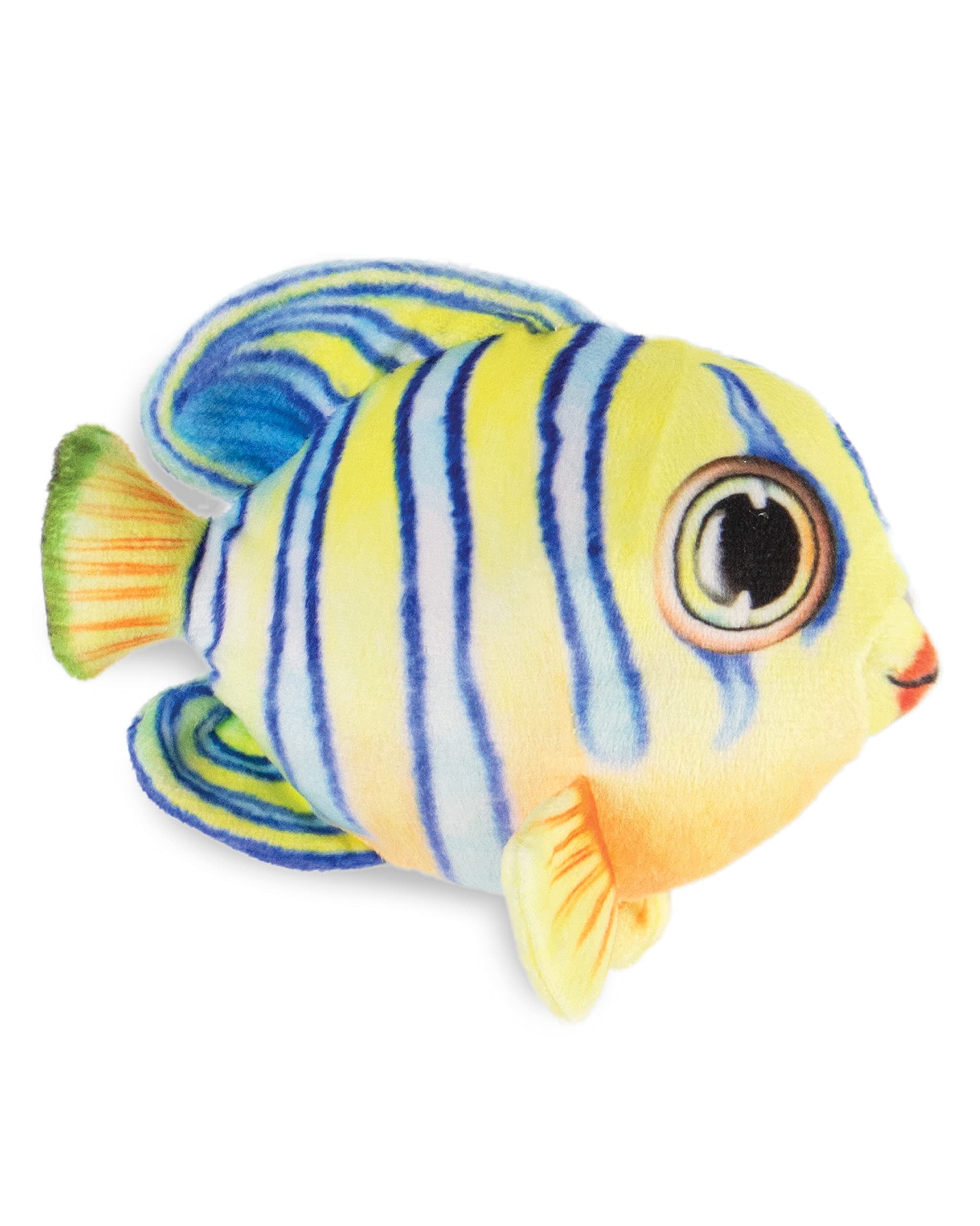 Flatties Fish