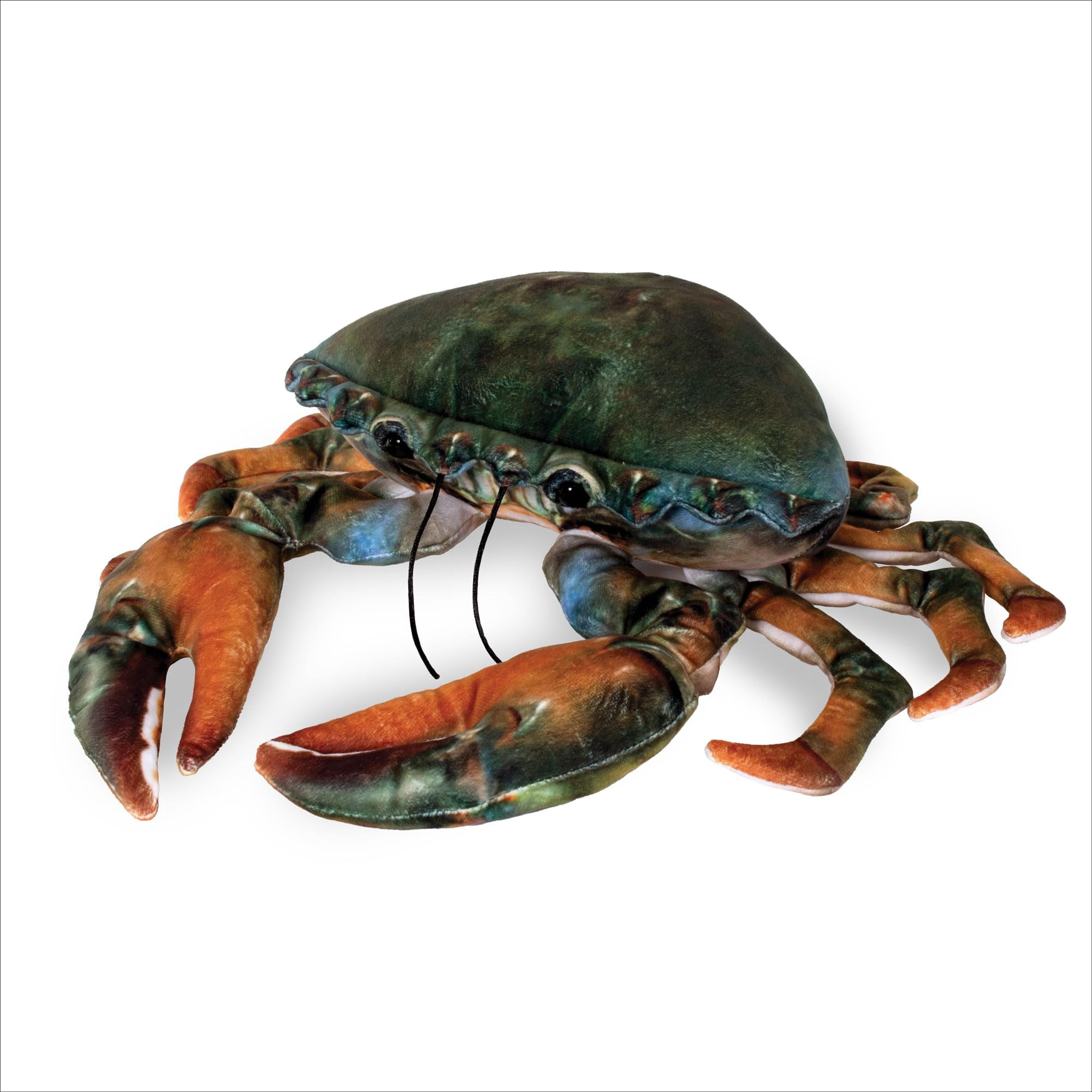 Real Planet 8" Blue Crab Realistic Stuffed Animal, Marine Sea Life ...