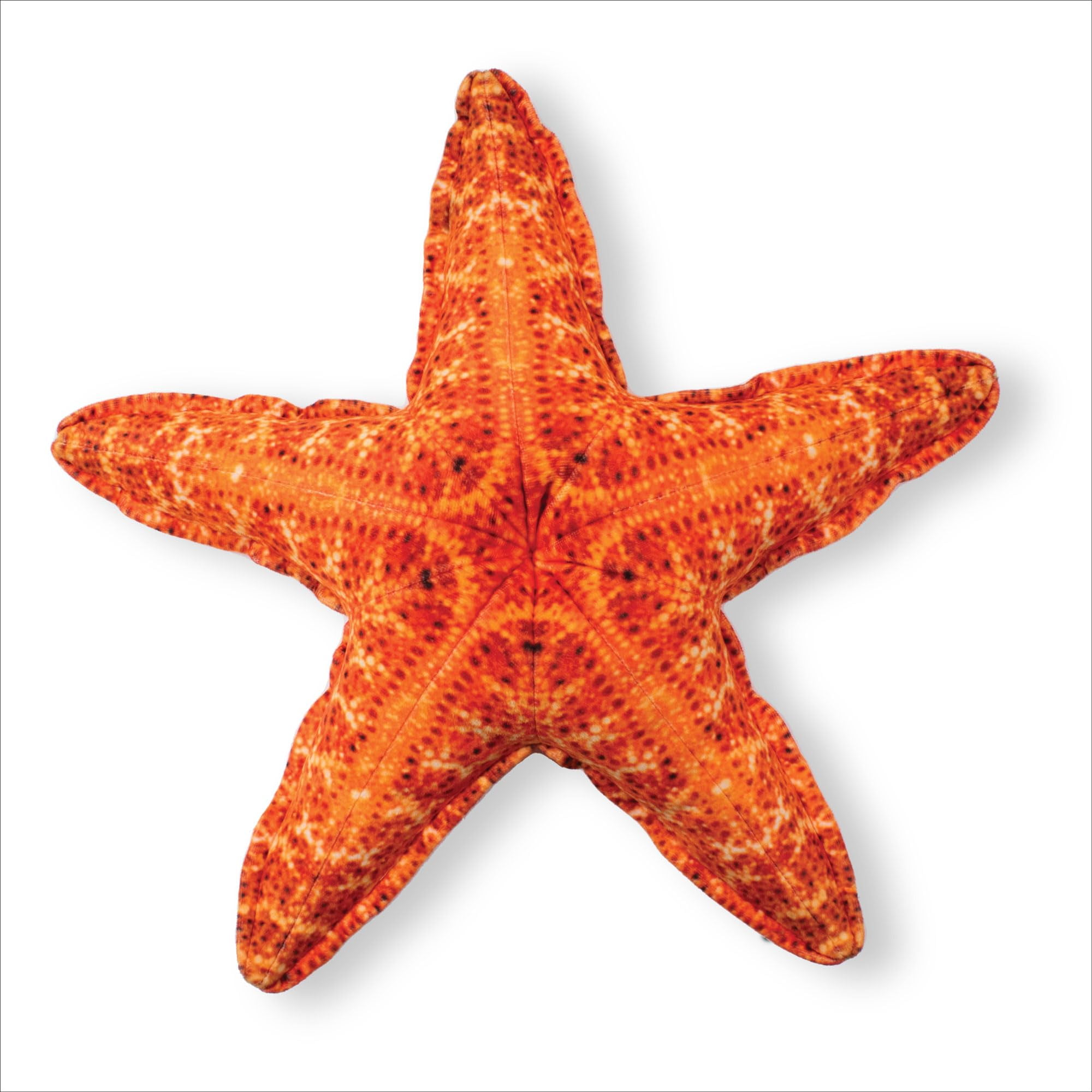 Real Planet 9" Orange Star Fish Realistic Stuffed Animal, Marine Sea ...