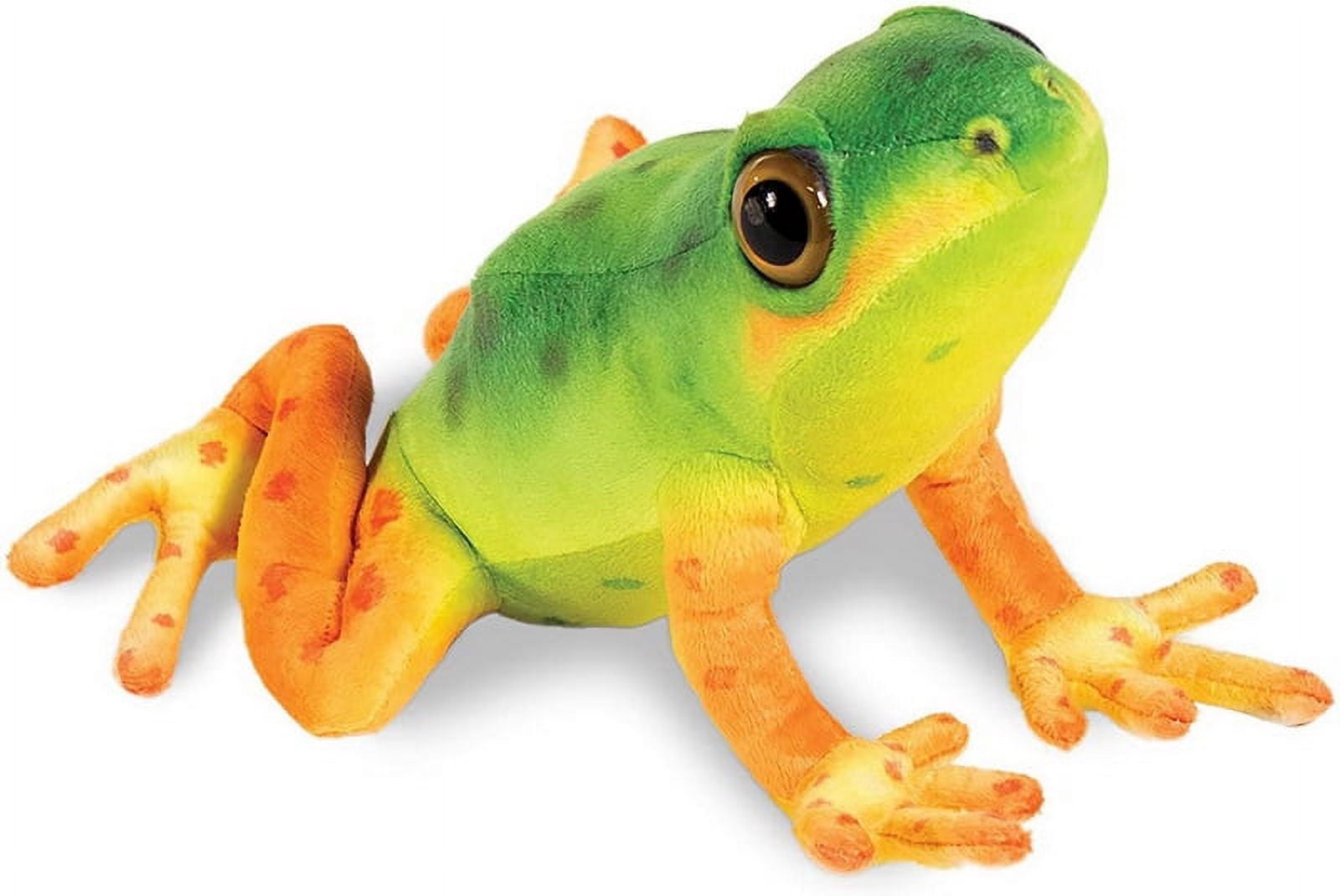 Real Planet Arrow Posion Frog Polka Dot Green 15 Inch Realistic Soft ...