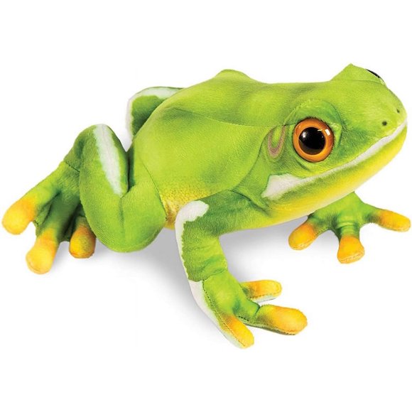 Realistic Frog