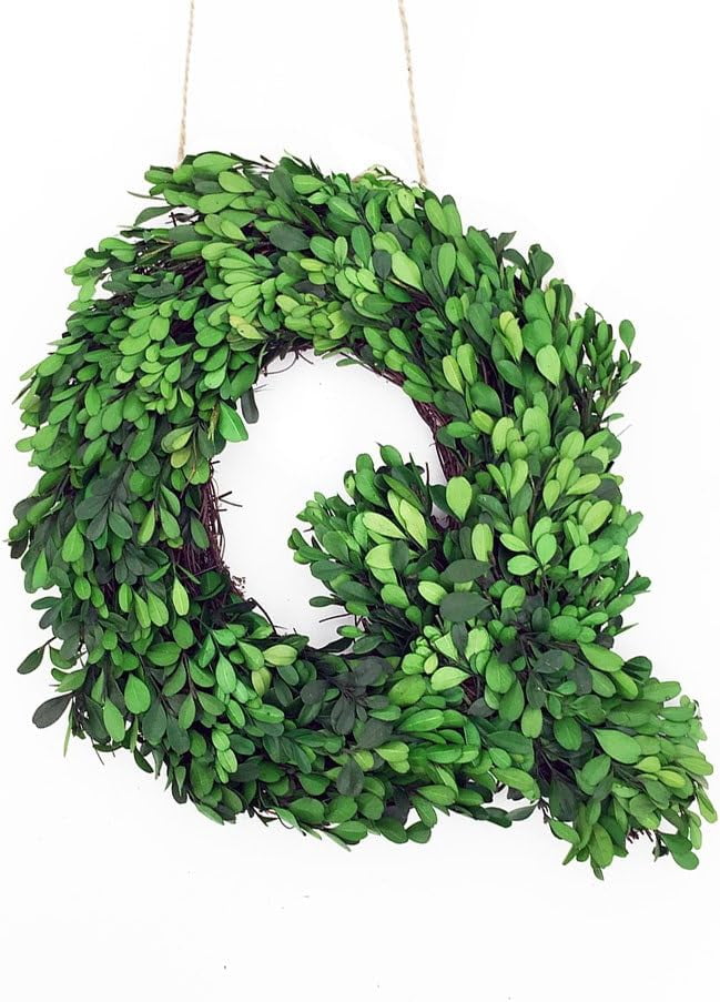 Real Preserved Boxwood Wreath Letters - Q - Walmart.com